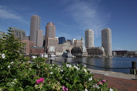 1,503 Boston Skyline Linkedin Background Stock Photos - Free & Royalty ...