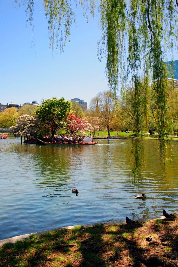 Spring In Boston Public Garden Stock Image - Image of landmark, george ...