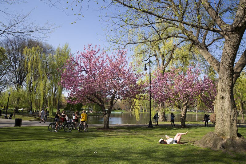 Boston Public Garden with First Signs of Spring Editorial Photo - Image ...
