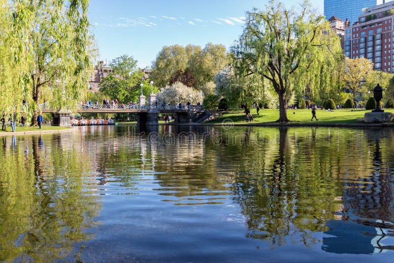 The Boston Public Garden stock image. Image of blossom - 137215777