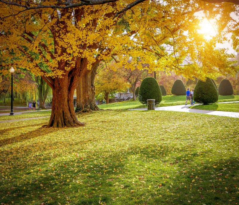 The Boston Public Garden editorial stock image. Image of fall - 261206514