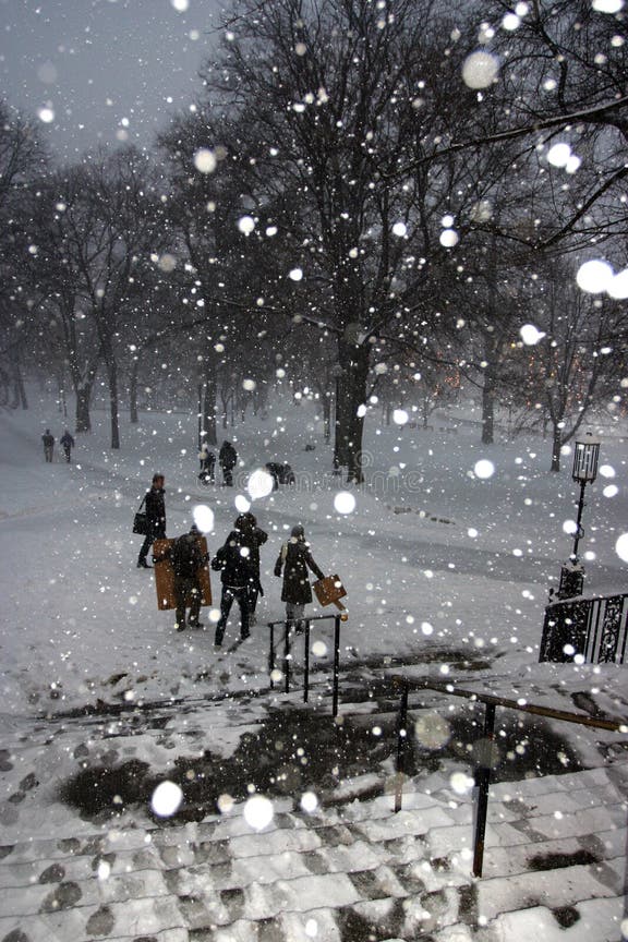 Boston Snow Storm editorial photo. Image of sled, hill - 3842946