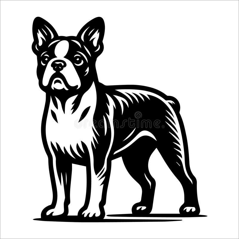 Boston Terrier Dog, Vector Illustration, Silhouette Stock Vector ...