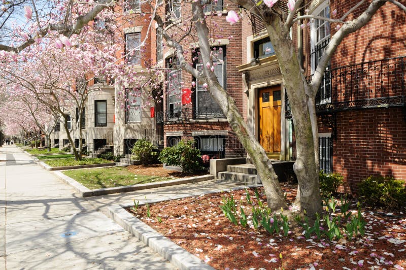 Boston University in Spring Stock Image - Image of brick, flowers: 5037003