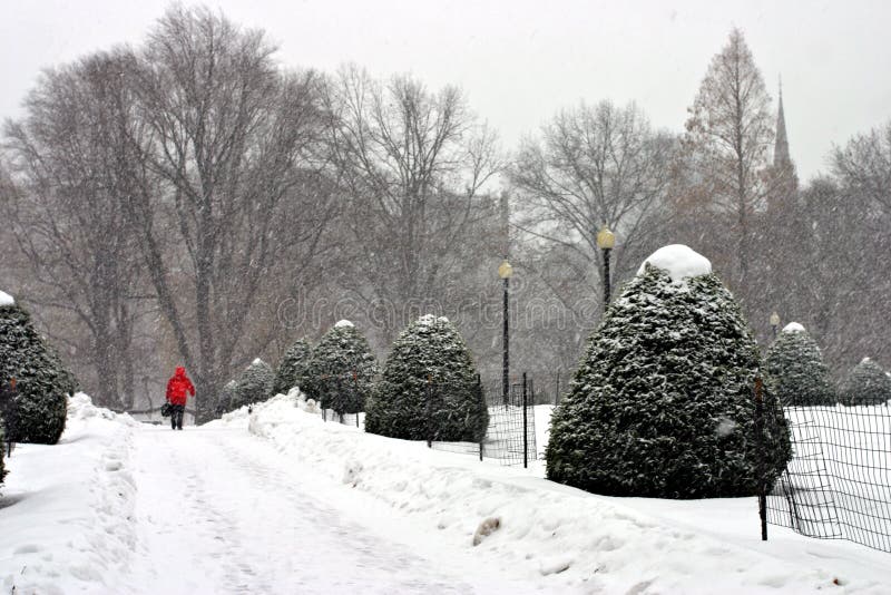 Boston Winter Picture. Image: 4423668