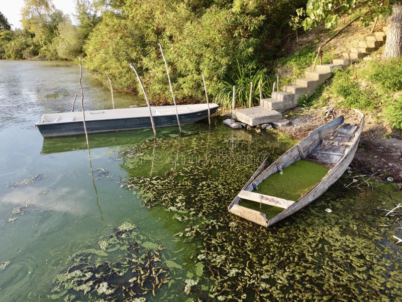 Bosut river stock photo. Image of canal, wetland, vehicle - 255990358