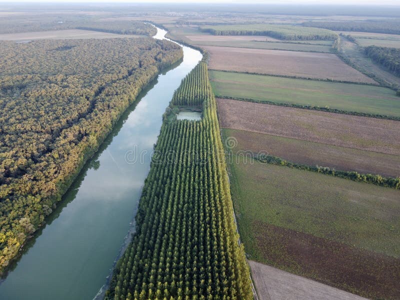 Bosut river stock image. Image of coast, plain, waterway - 255990463