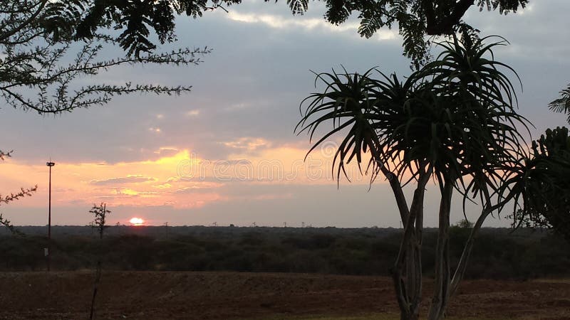 Bosveld stock image. Image of sundowner, afternoon, cloudy - 56192849