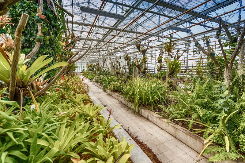Botanic Glasshouse Building Stock Photo - Image of botanical, building ...