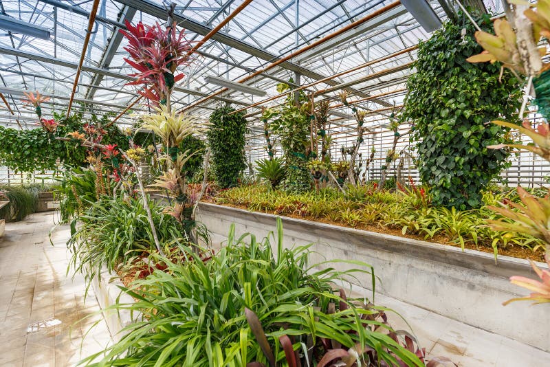 Botanic Glasshouse Building Stock Image - Image of glass, gardening ...