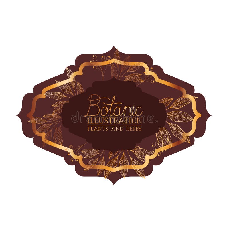 Botanic Illustration Label with Plants and Herbs Stock Vector ...