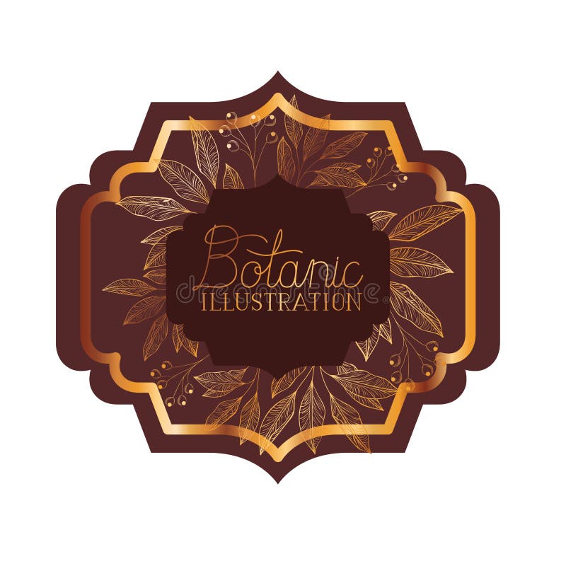 Botanic Illustration Label with Plants Stock Vector - Illustration of ...