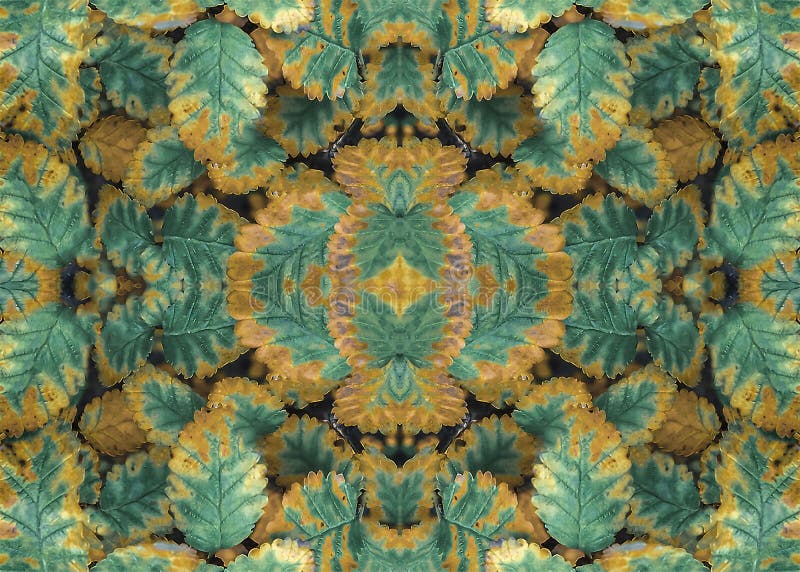 Botanic Motif Collage Pattern Stock Illustration - Illustration of ...