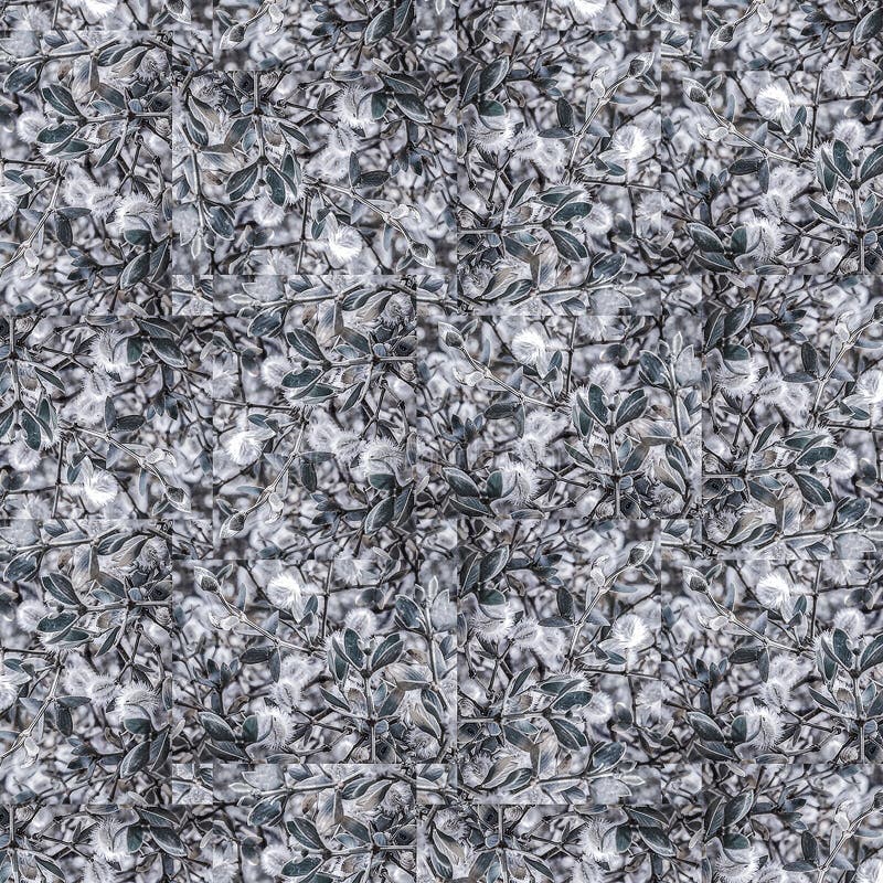 Botanic Motif Photo Collage Surface Pattern Design Stock Illustration ...