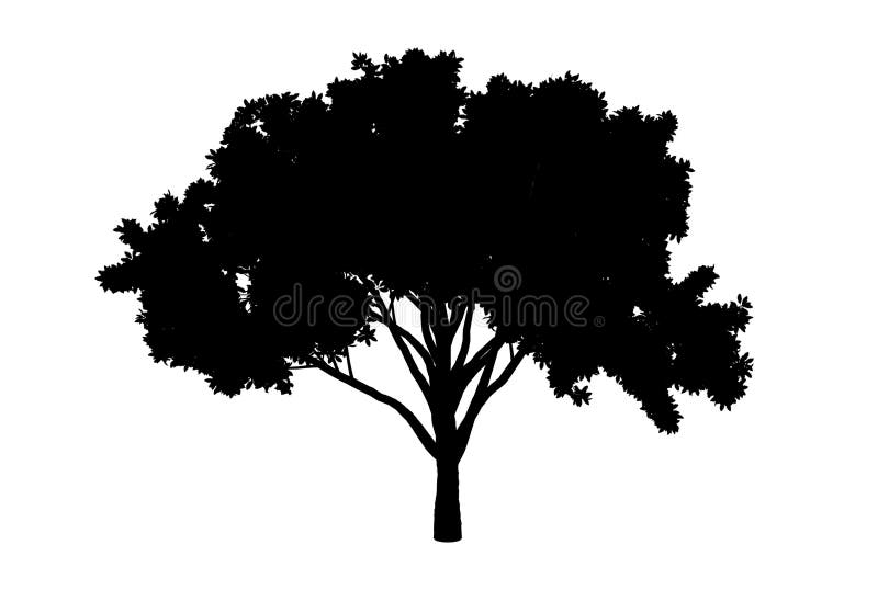 Botanic Tree Silhouette Artwork Biology Wood Shape Design Stock ...