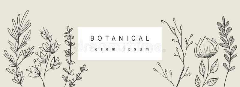 Botanical Abstract Background with Floral Line Art Design. Horizontal ...