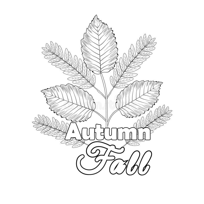 Botanical Artwork Decor, Vector Set of Botanical Leaf Simple Outline ...