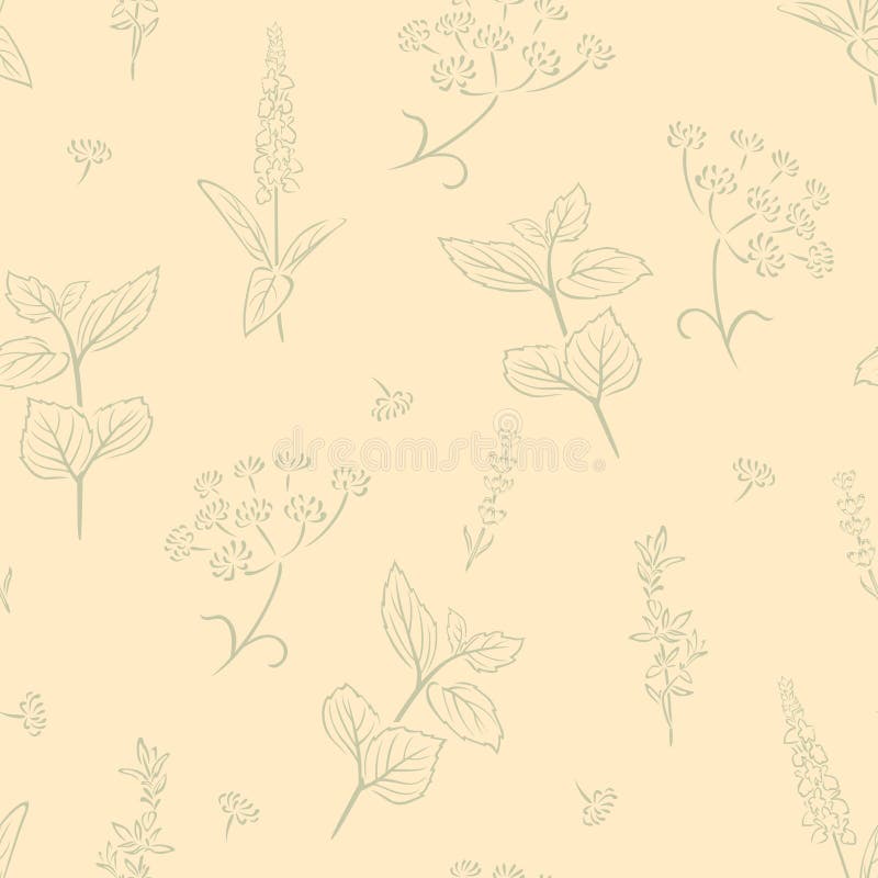 Botanical Background. Vector Outline Illustration of Herb, Branch and ...