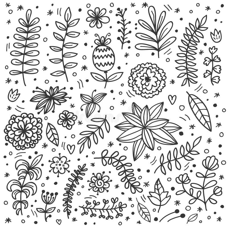 Botanical Doodle Vector Set Stock Vector - Illustration of graphic ...