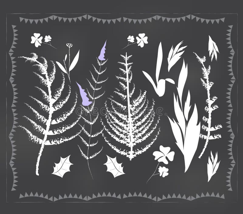 Botanical elements stock illustration. Illustration of aquarelle - 51480334