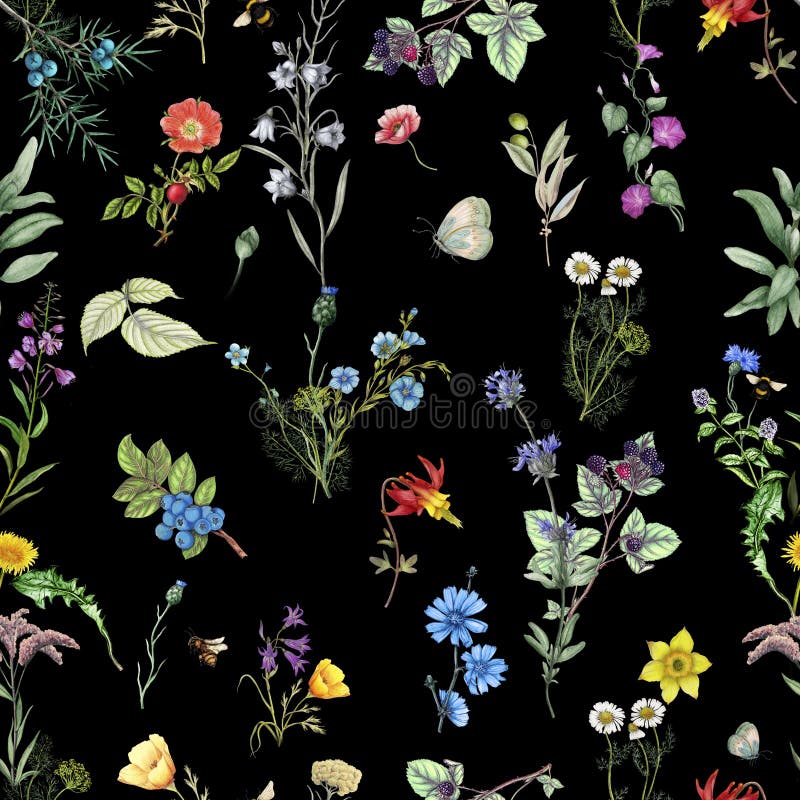 Botanical Floral Pattern of Watercolor Wildflowers and Forest Plants ...
