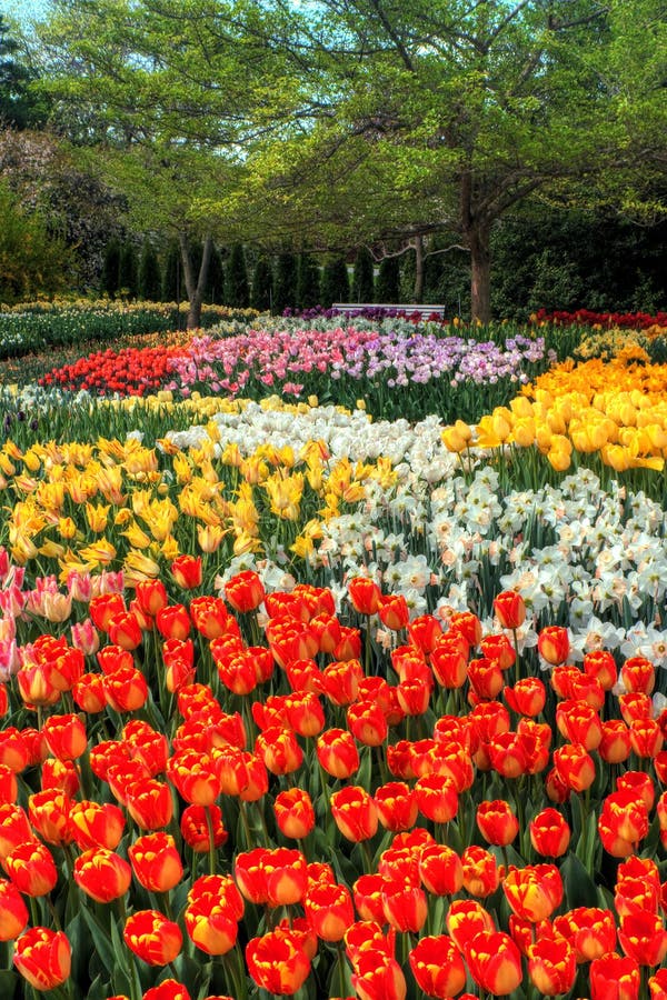 Spring Season Bloom stock photo. Image of landscape, estate - 22982932