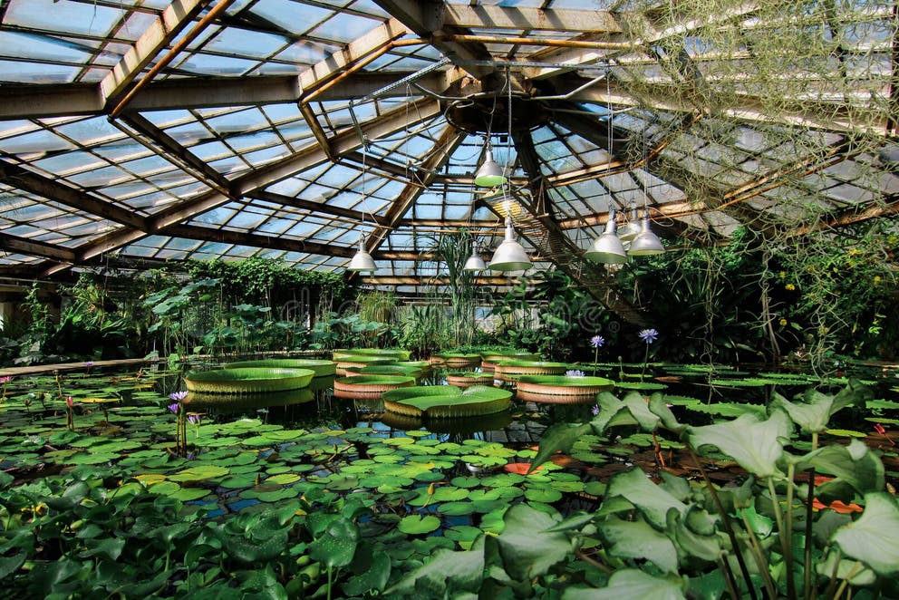 Botanical Garden BIN RAS during the Daytime Stock Photo - Image of ...