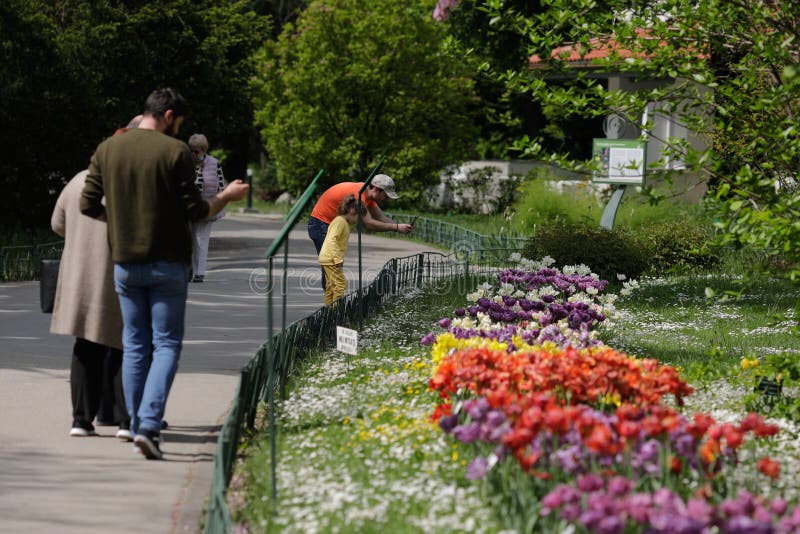 Botanical Garden of Bucharest on a Sunny Spring Day Editorial ...