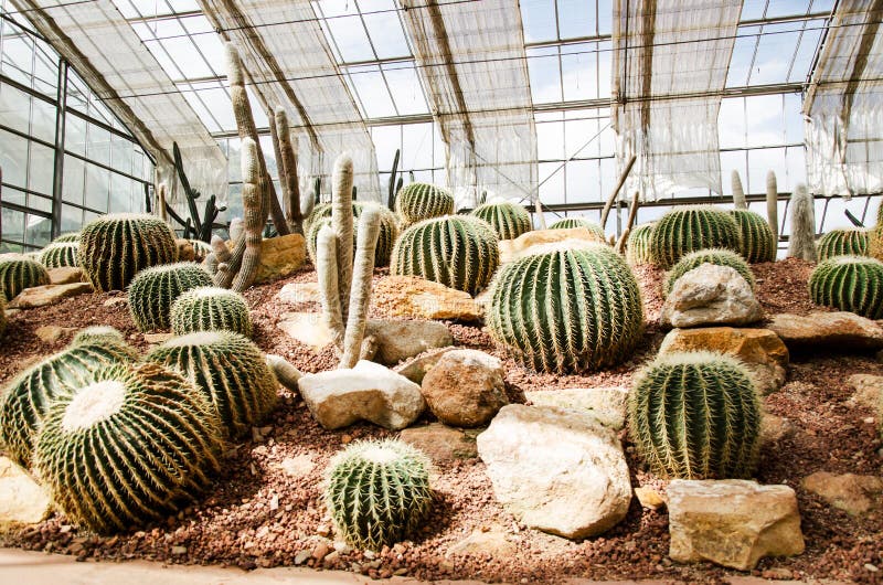 Botanical garden stock photo. Image of rock, botanical - 83575464