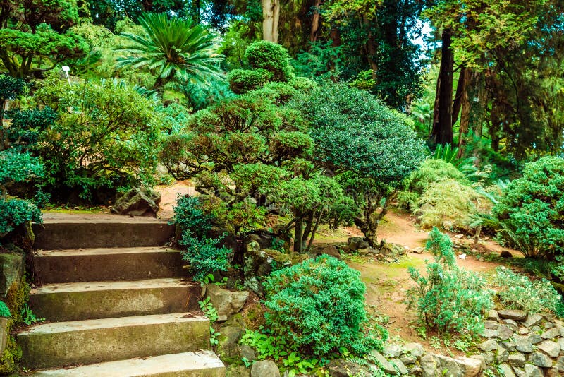 Botanical Garden with Lush Green Vegetation. Stock Photo - Image of ...