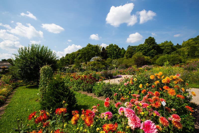 Botanical Garden in Munich, Blue Sky, Landscape Stock Image - Image of ...