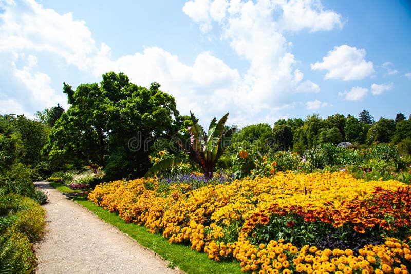 Botanical Garden in Munich, Blue Sky, Landscape Stock Photo - Image of ...