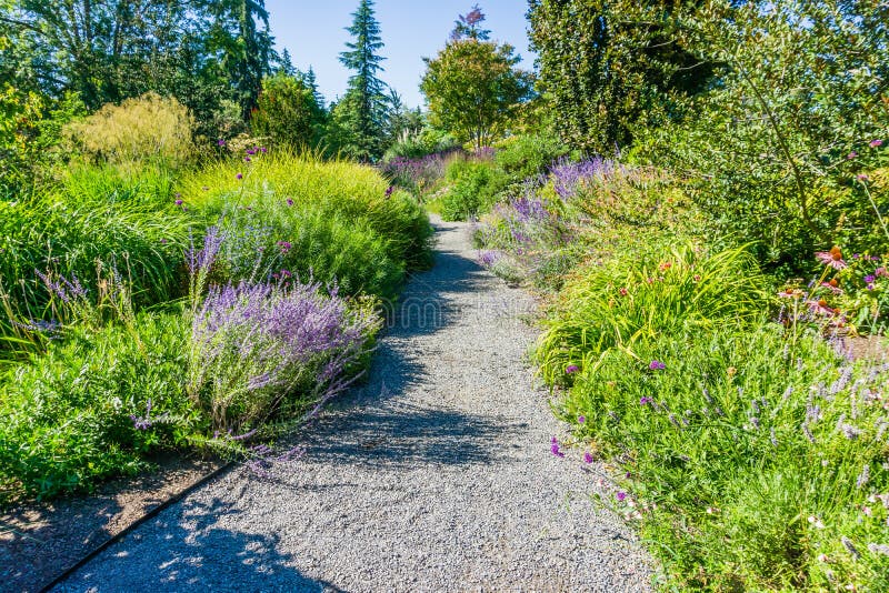 Botanical Garden Path 5 stock image. Image of outdoors - 194407873