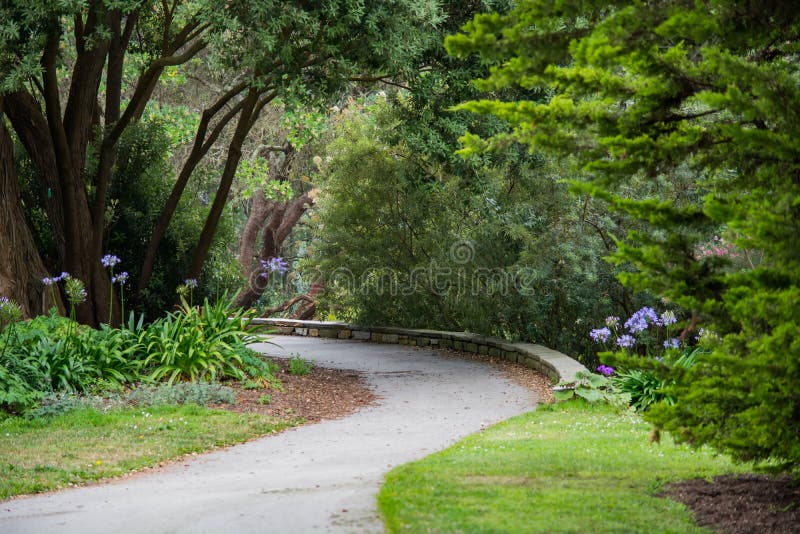 Botanical Garden Path stock image. Image of shrubs, purple - 77225127