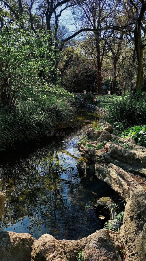 Botanical Garden, Pond Surrounded by Vegetation, Sky Blue Stock Photo ...