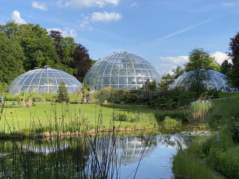 The Botanical Garden of the University of Zurich or Botanischer Garten ... The Botanical Garden of the University of Zurich or Botanischer Garten ...