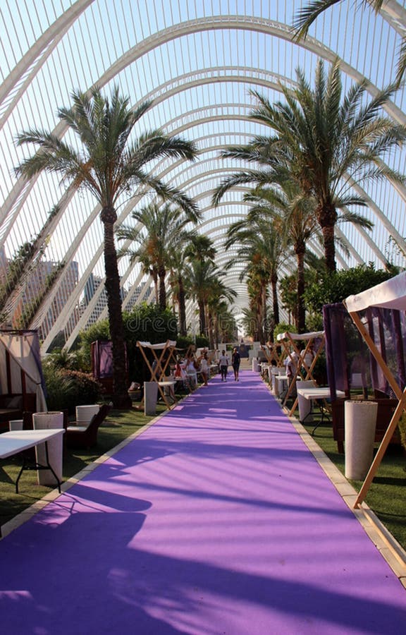 The Botanical Garden, Valencia, City of Sciences and Arts, Spain ...