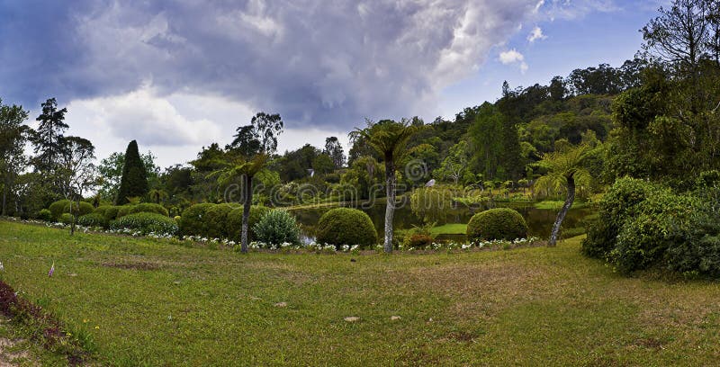 Botanical Garden - Vumba, Zimbabwe Stock Photo - Image of outdoors ...