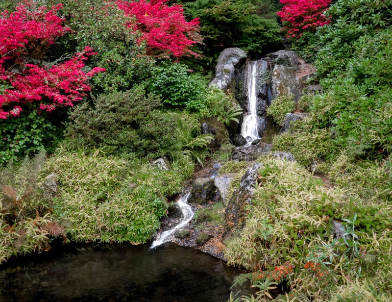 Botanical Garden Waterfall and Colorful Red Shrubs Stock Image - Image ...