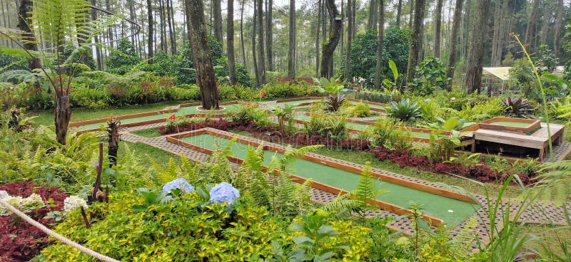 Botanical Garden in West Java Stock Image - Image of botanical, lawn ...