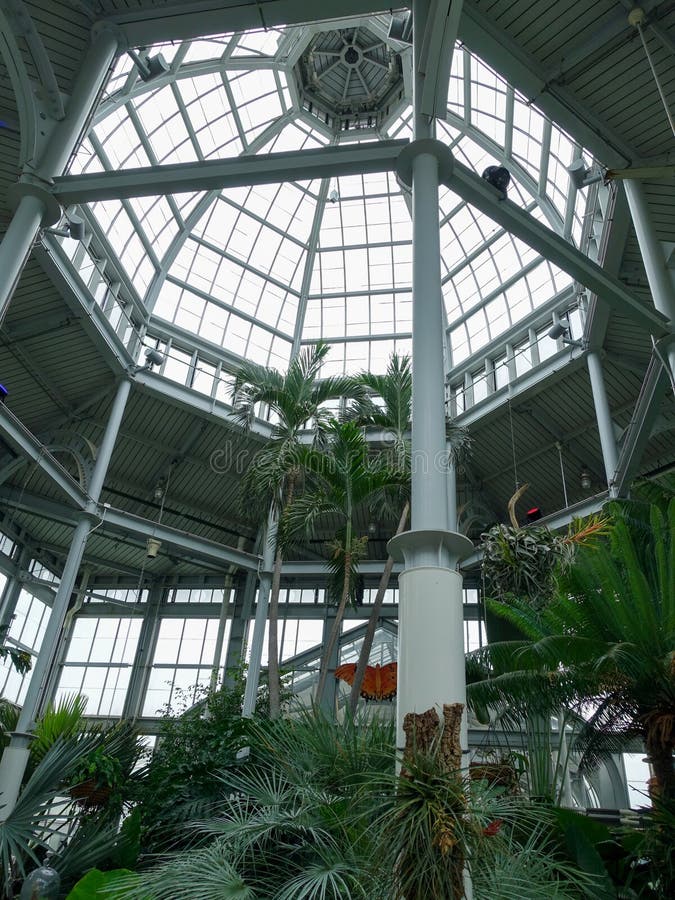 Botanical Gardens Atrium Richmond Virginia Stock Image - Image of ...