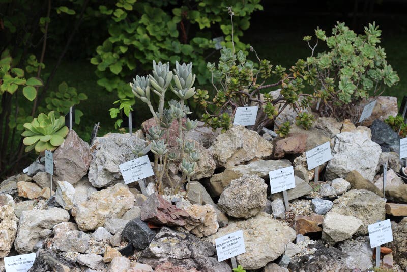 Botanical Gardens Vienna stock photo. Image of botanical - 68615280