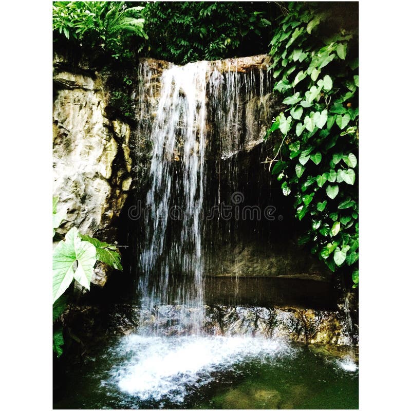 Botanical Gardens Waterfall Singapore Stock Photo - Image of gardens ...