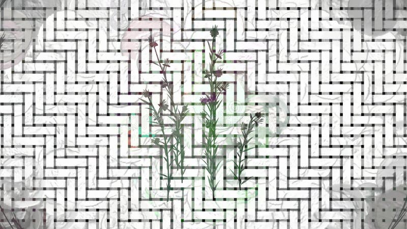 Botanical Grid Art Flowers Digital Stock Photo - Image of floral ...