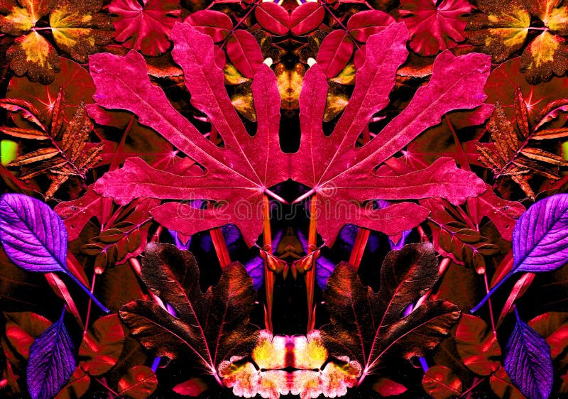 Botanical grooves stock photo. Image of natural, bouquet - 153516580