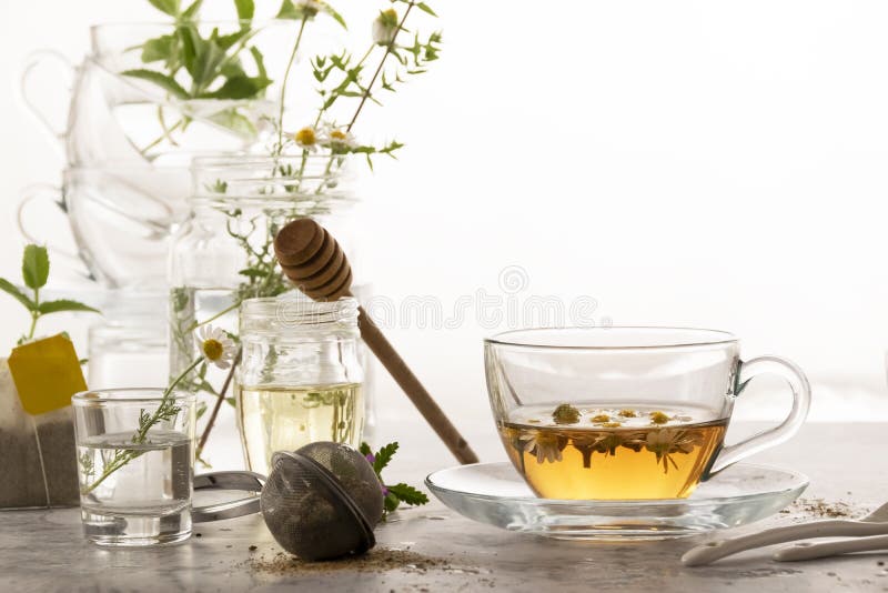 Botanical Herbal Tea, Healthy Beverage, Organic Ingredients Stock Photo ...