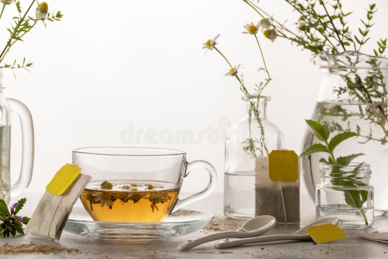 Botanical Herbal Tea, Healthy Beverage, Organic Ingredients Stock Image ...