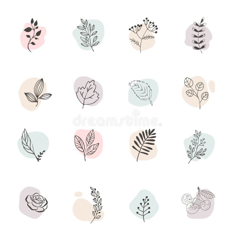Botanical Icons Set.Vector Hand Drawn Wild Flower Stock Illustration ...