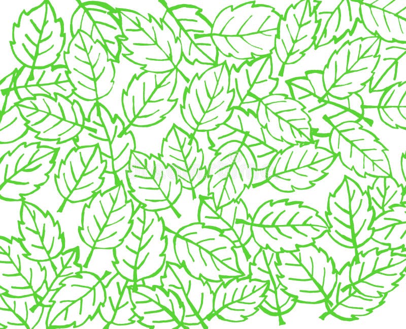 Green outline leaf stock illustration. Illustration of fabric - 146989969
