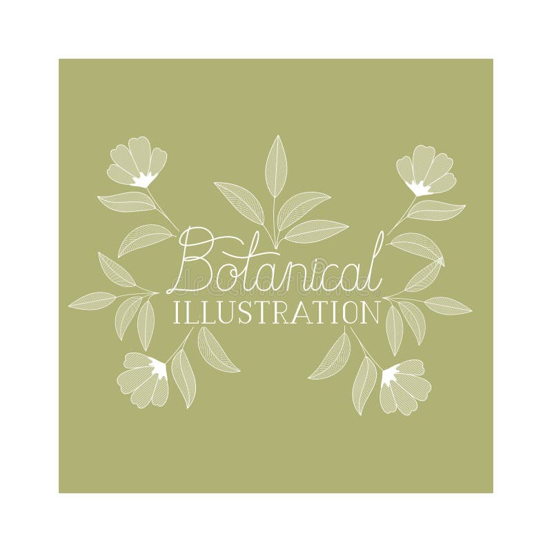 Botanical Illustration Label with Plants Stock Vector - Illustration of ...